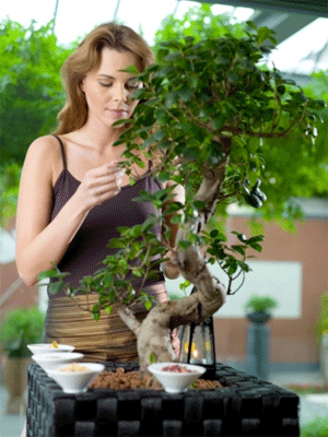 Beauty Secrets of Ayurveda