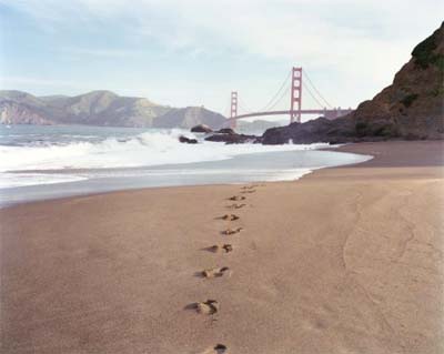 California, Dying Canary in The Coal Mine