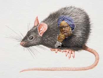 How to Trap An Indian Mouse