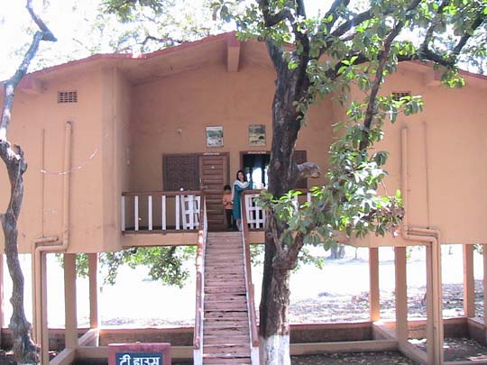 Ranchi-Netarhat-Betla - The Green Triangle