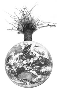 The Story of the Raiyat