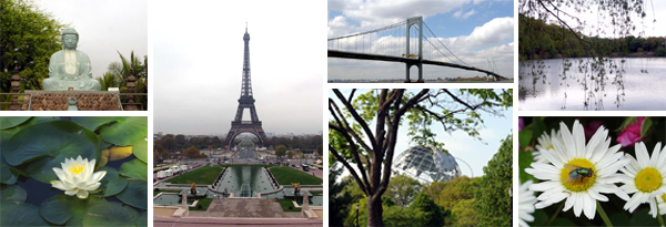 Boloji.com - Photo Essays