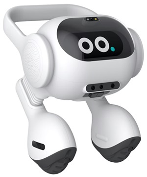 A Robot to Redefine Home Management & Pet Care